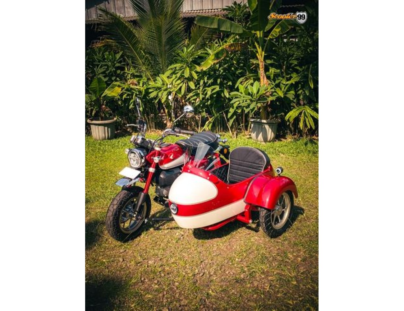 Sidecar Kit for Honda Monkey – Red & White Dax Edition | Scooter99