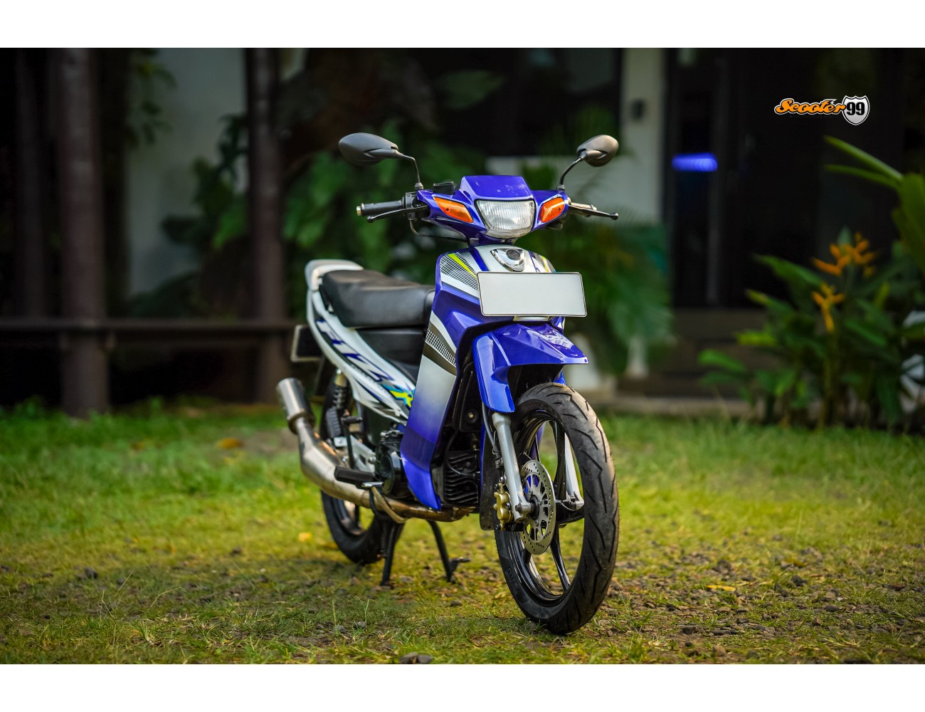Yamaha F1ZR 2-Stroke Restored – Collector Bike | Scooter99